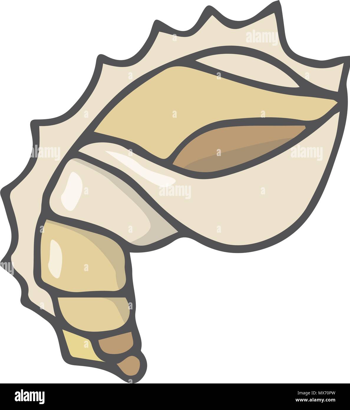 Cockleshell illustration geometric drawing shell font color element sea ...