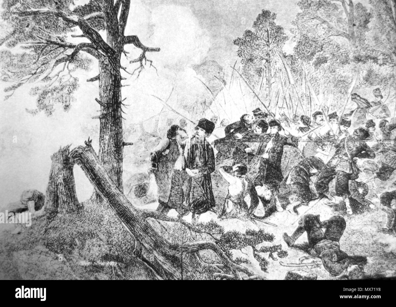 Sowia hi-res stock photography and images - Alamy