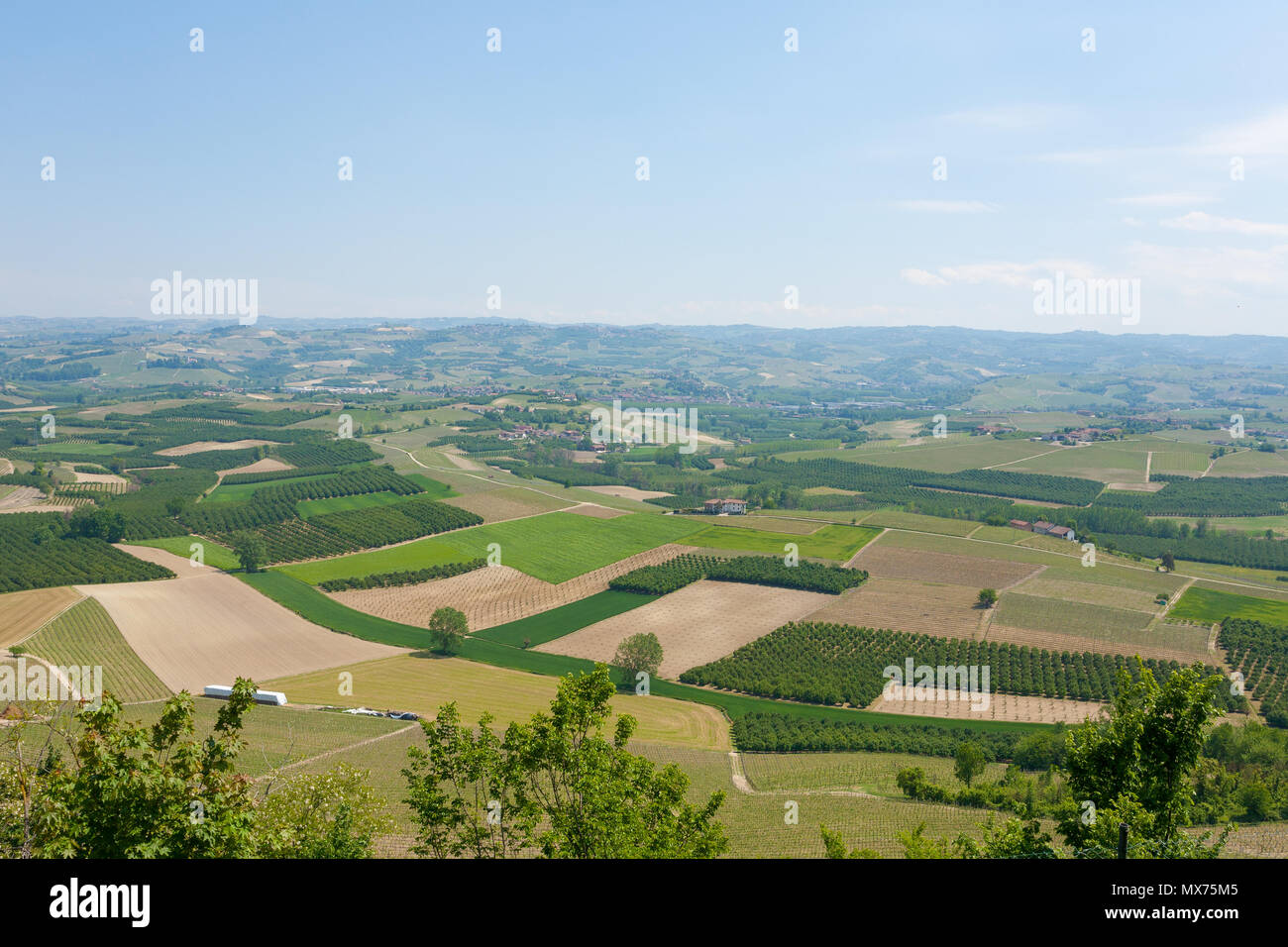 Beautiful Italian landscape. Vineyards from Langhe region,Italy ...