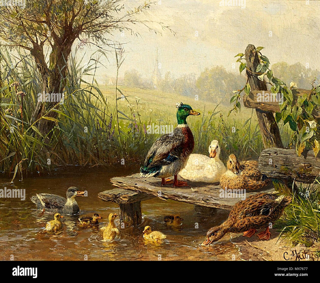 Jutz carl hi-res stock photography and images - Alamy