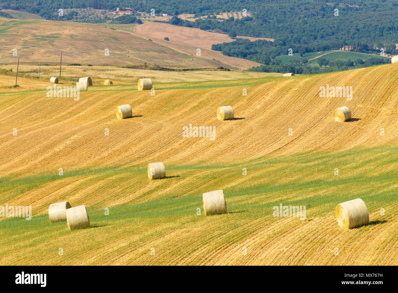 Tuscany hills landscape, Italy. Rural italian panorama Stock Photo - Alamy