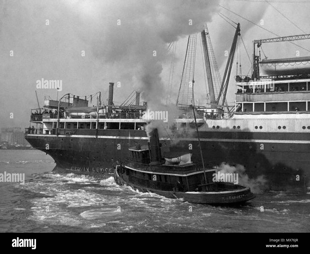 Carmania hi-res stock photography and images - Alamy