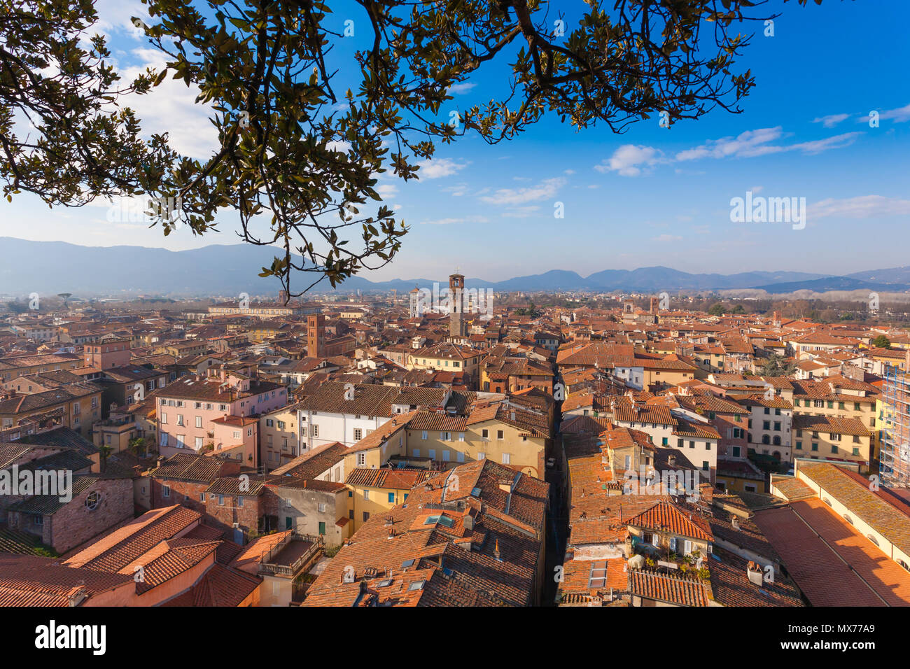 Lucca from Guinigi Tower. Italian landmark. Aerial view of Lucca Stock ...