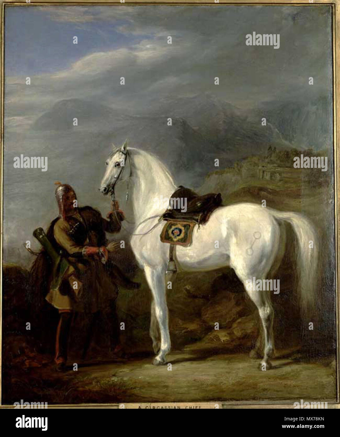 . Circassian Chief . Up loaded 28/2/2008 132 Circassian Chief Stock ...