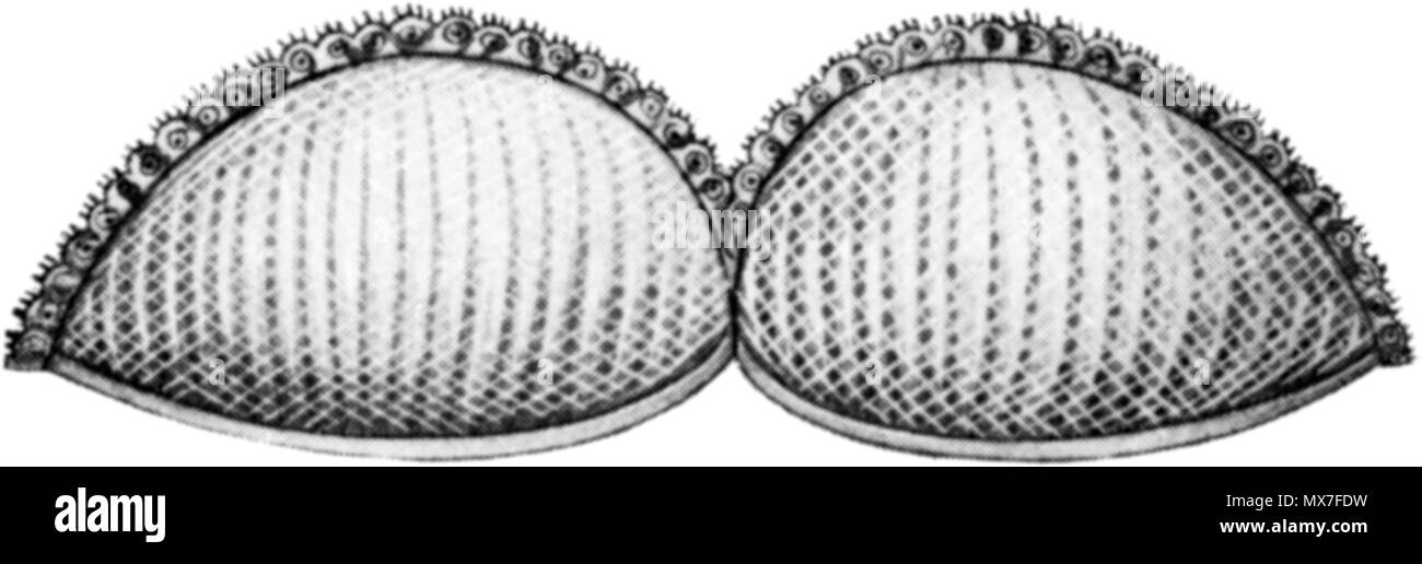 35c Cut Out Stock Images & Pictures - Alamy