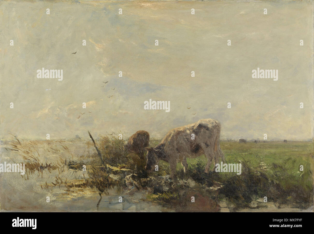 Willem Maris High Resolution Stock Photography and Images - Alamy