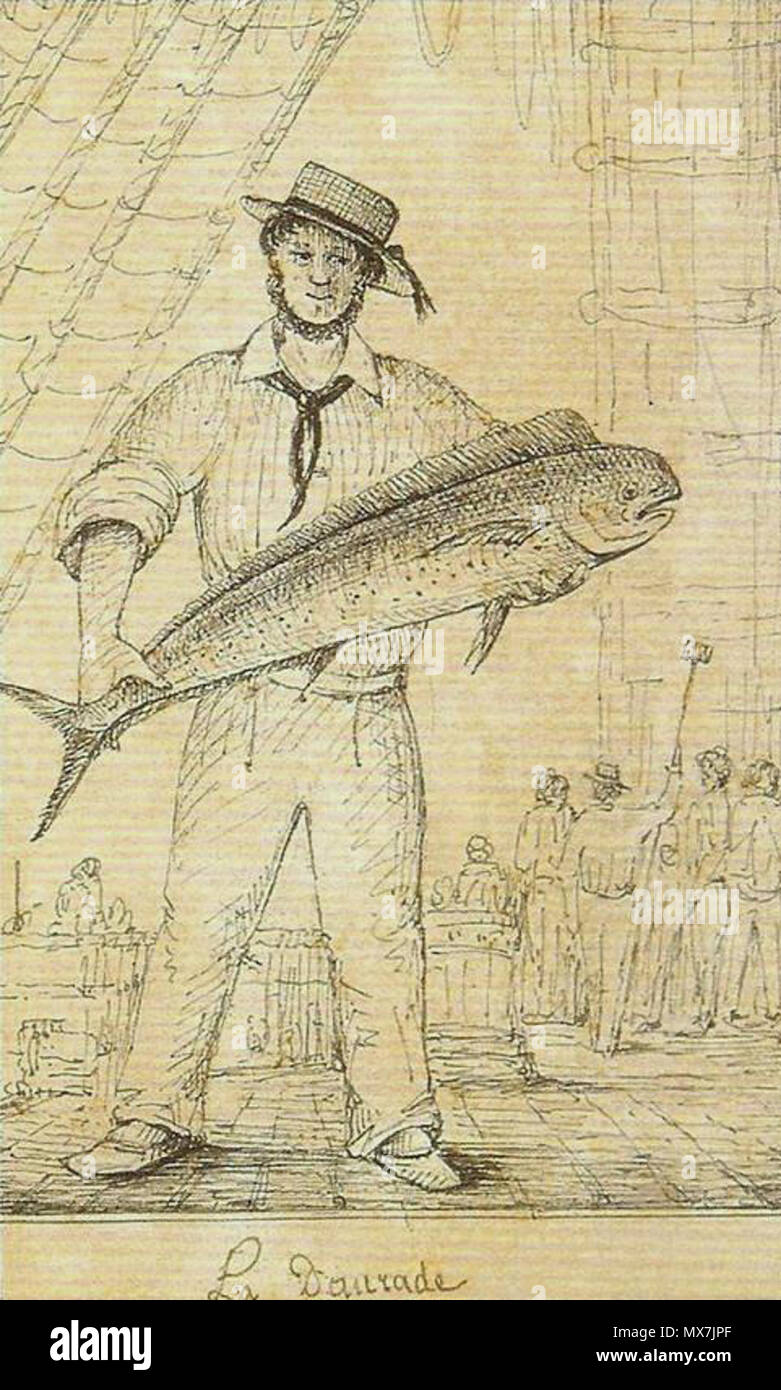 . Português: O dourado Français : La Dourade English: Mahi-mahi . 19th ...