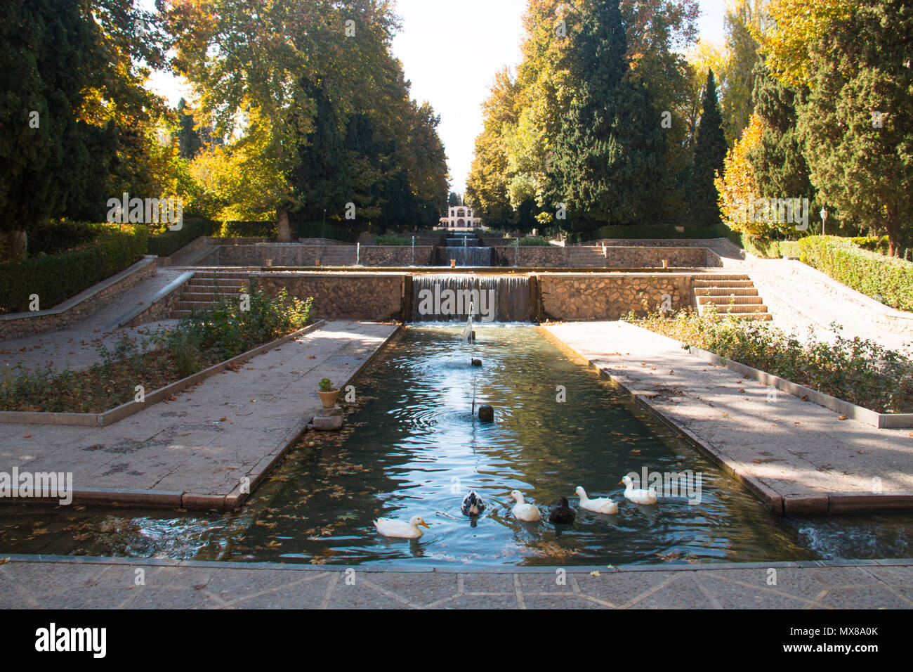 The Shahzadeh garden is a typical example of the splendid persian ...