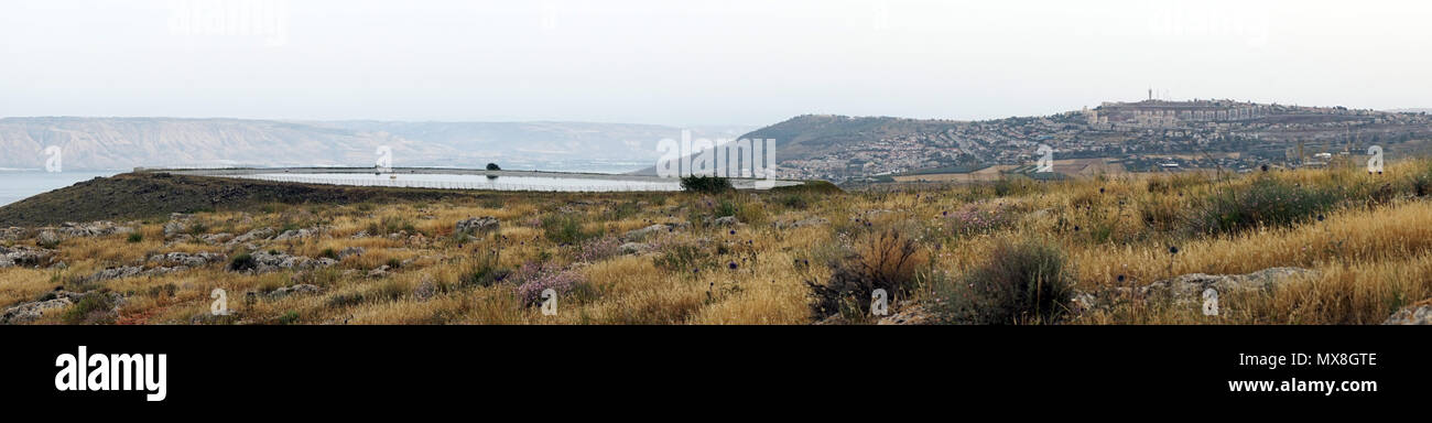 Small pond and Tiberias town in Galilee, Israel Stock Photo - Alamy