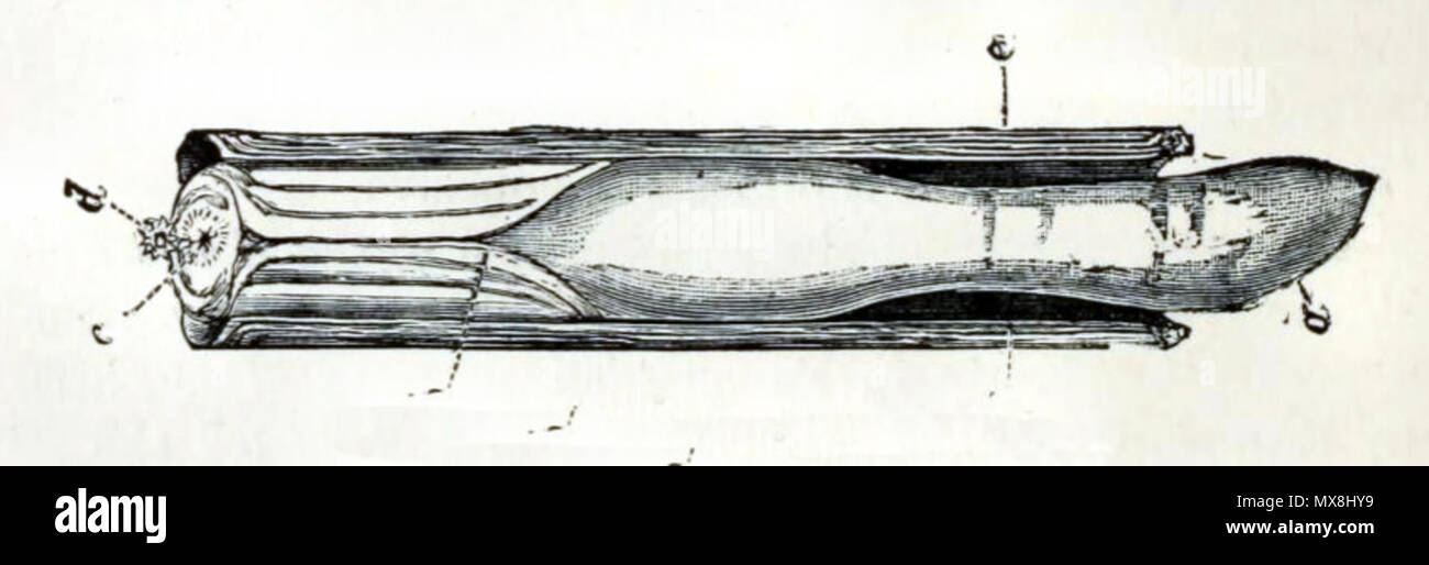 The linnaeus museum hi-res stock photography and images - Alamy