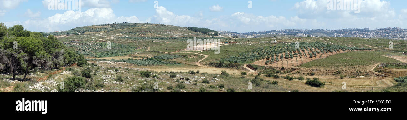 Countryside near Nazareth in Galilee, Israel Stock Photo - Alamy