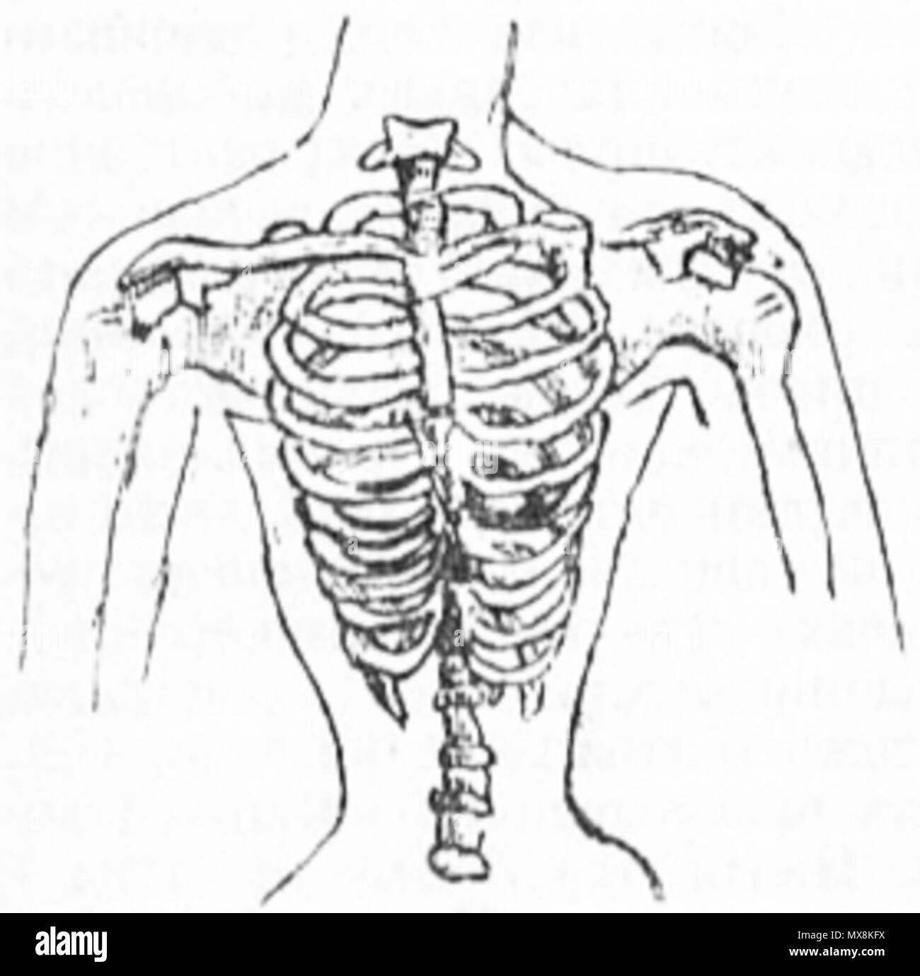 Unknown reproduction Cut Out Stock Images & Pictures - Alamy