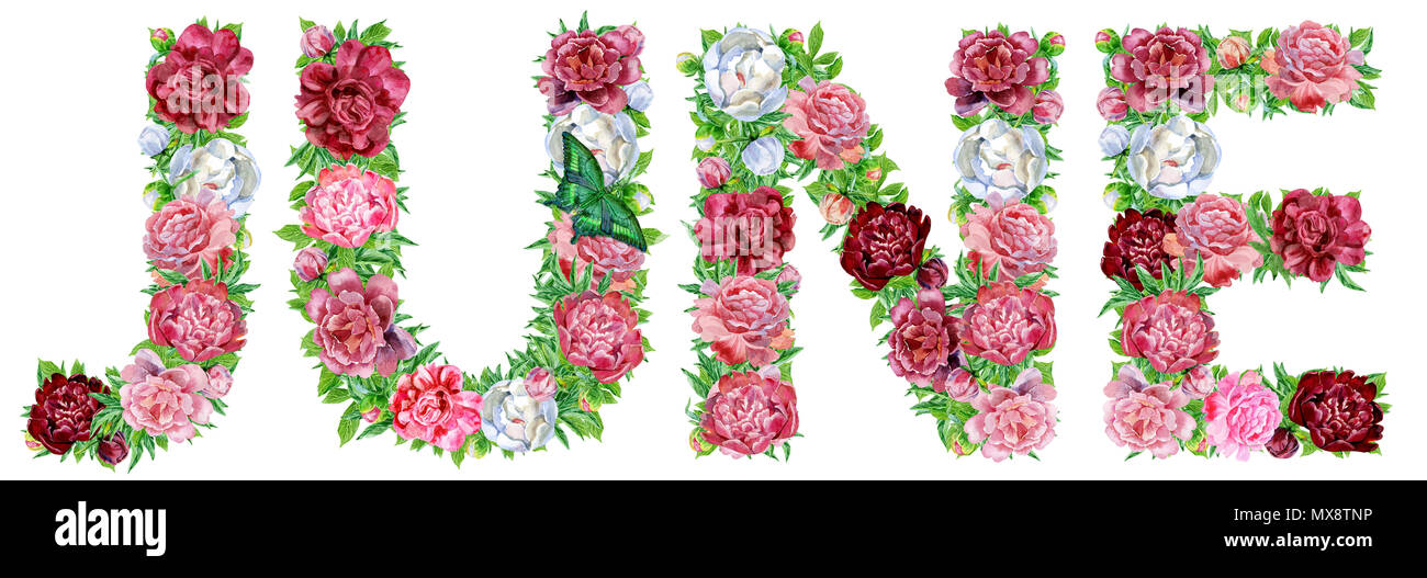 Word JUNE of watercolor flowers, isolated hand drawn on a white ...