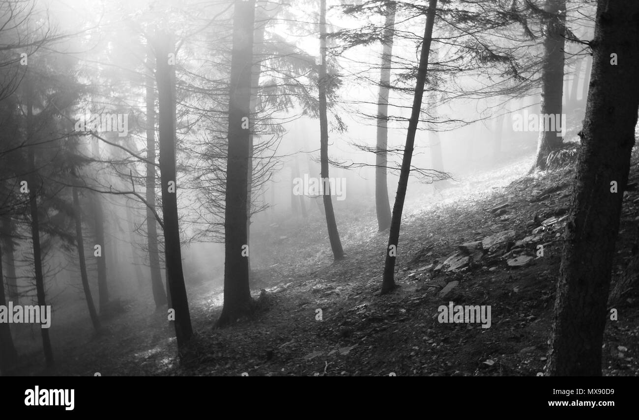 Montreal sunrise Black and White Stock Photos & Images - Alamy