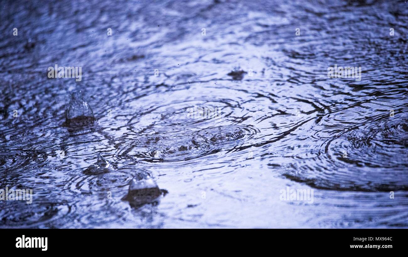 summer raindrops and ripples, image of a Stock Photo - Alamy