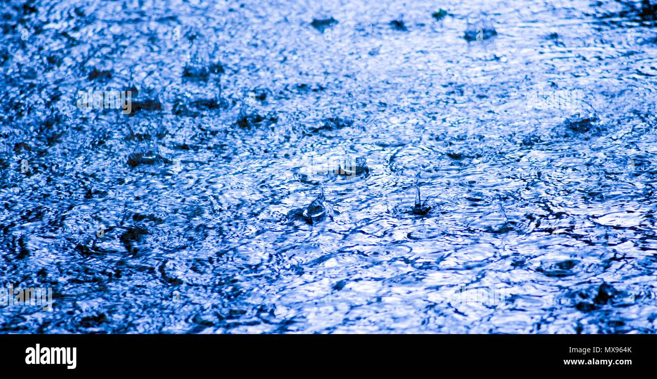 summer raindrops and ripples, image of a Stock Photo - Alamy