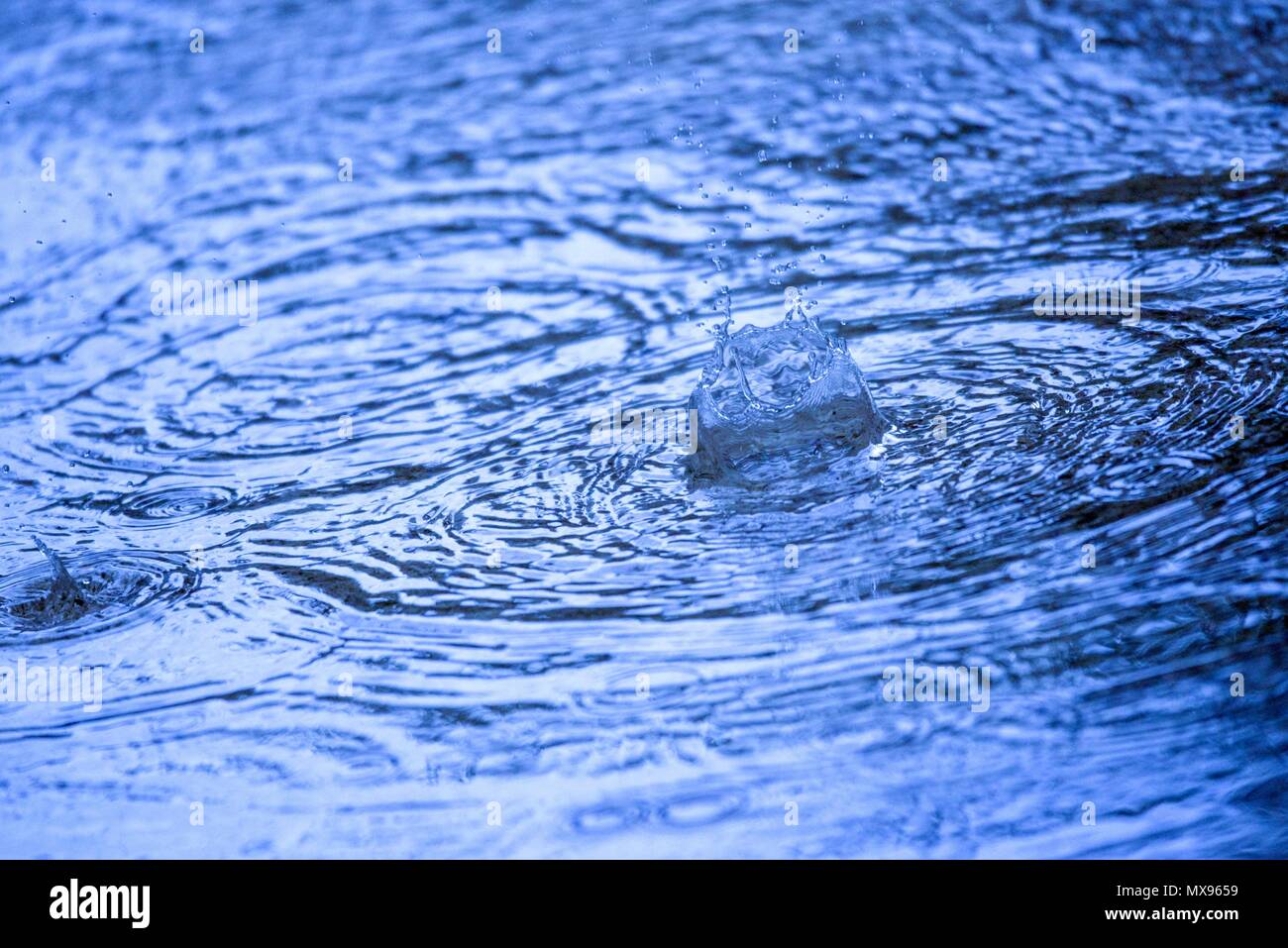 summer raindrops and ripples, image of a Stock Photo - Alamy