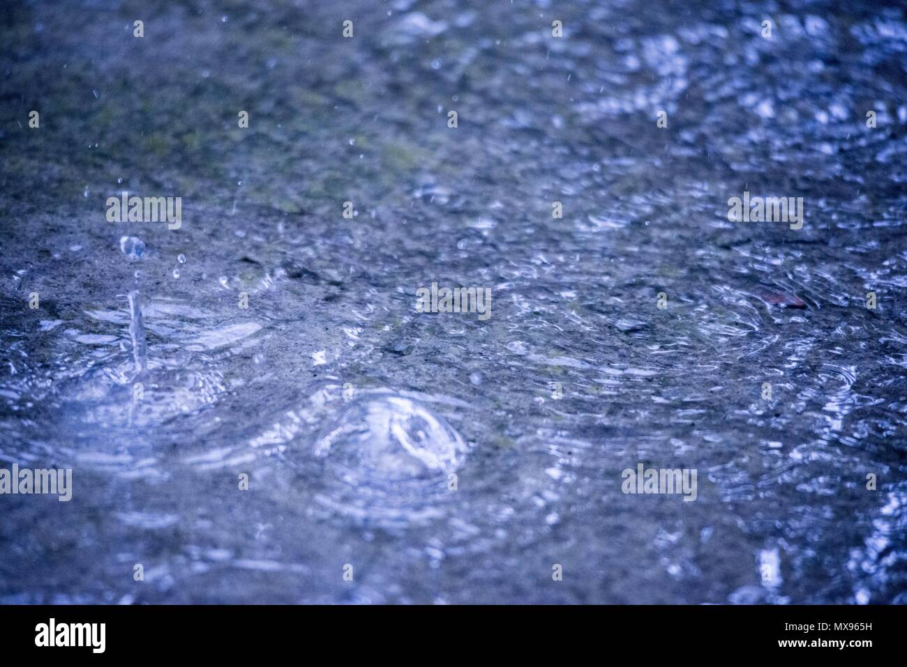 summer raindrops and ripples, image of a Stock Photo - Alamy