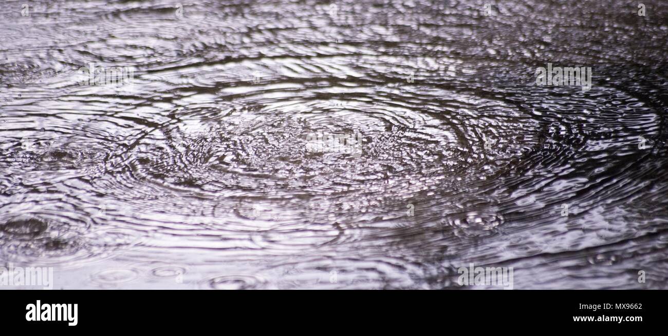 summer raindrops and ripples, image of a Stock Photo - Alamy