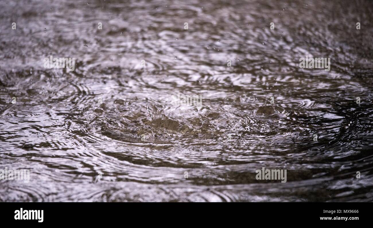 summer raindrops and ripples, image of a Stock Photo - Alamy