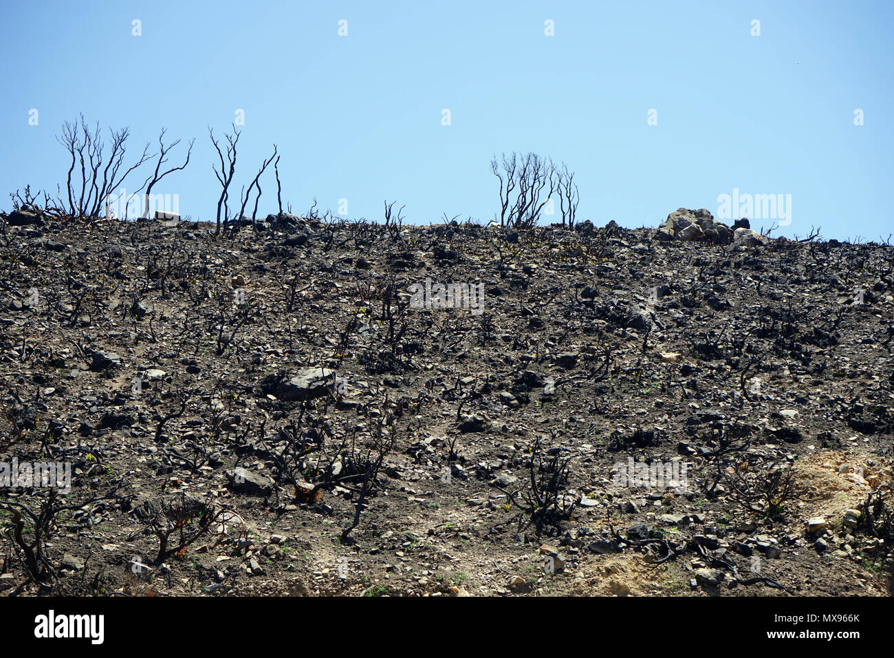 Slope of rock after disaster fire Stock Photo - Alamy
