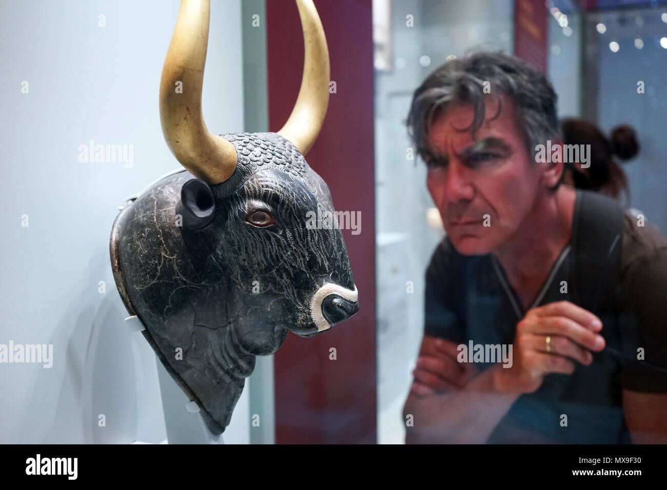 Bull rhyton hi-res stock photography and images - Alamy