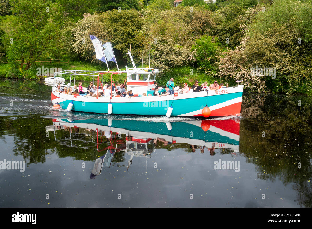 Pleasure boat Juno on a trip down the river Tees from Yarm Stock Photo ...