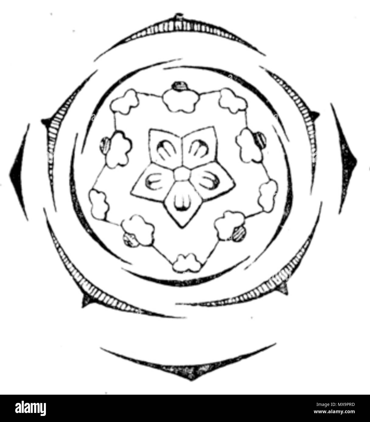 . Diagram of a flower of Geranium pratense (Geraniaceae) . scanned 11 ...