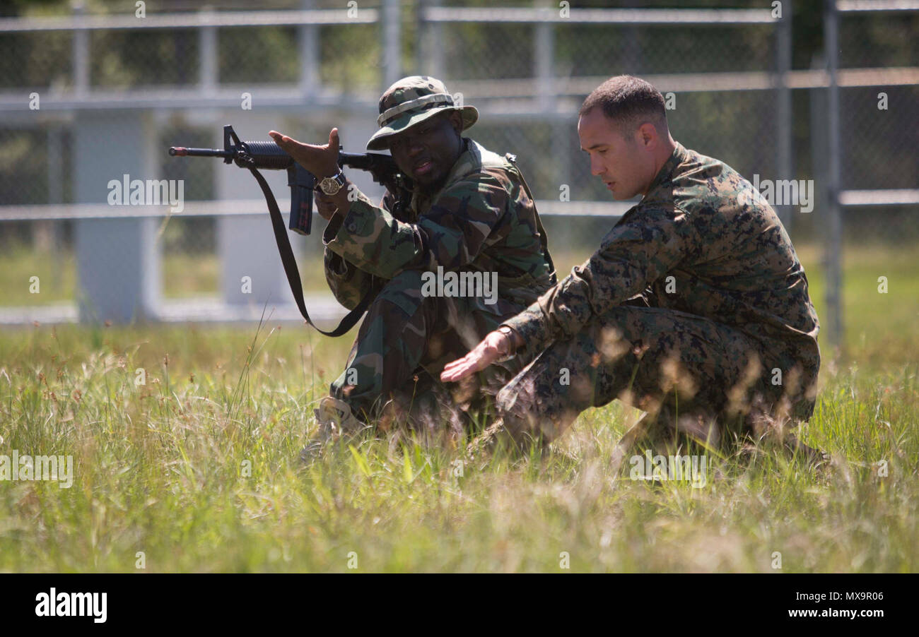 Mcscg hi-res stock photography and images - Alamy