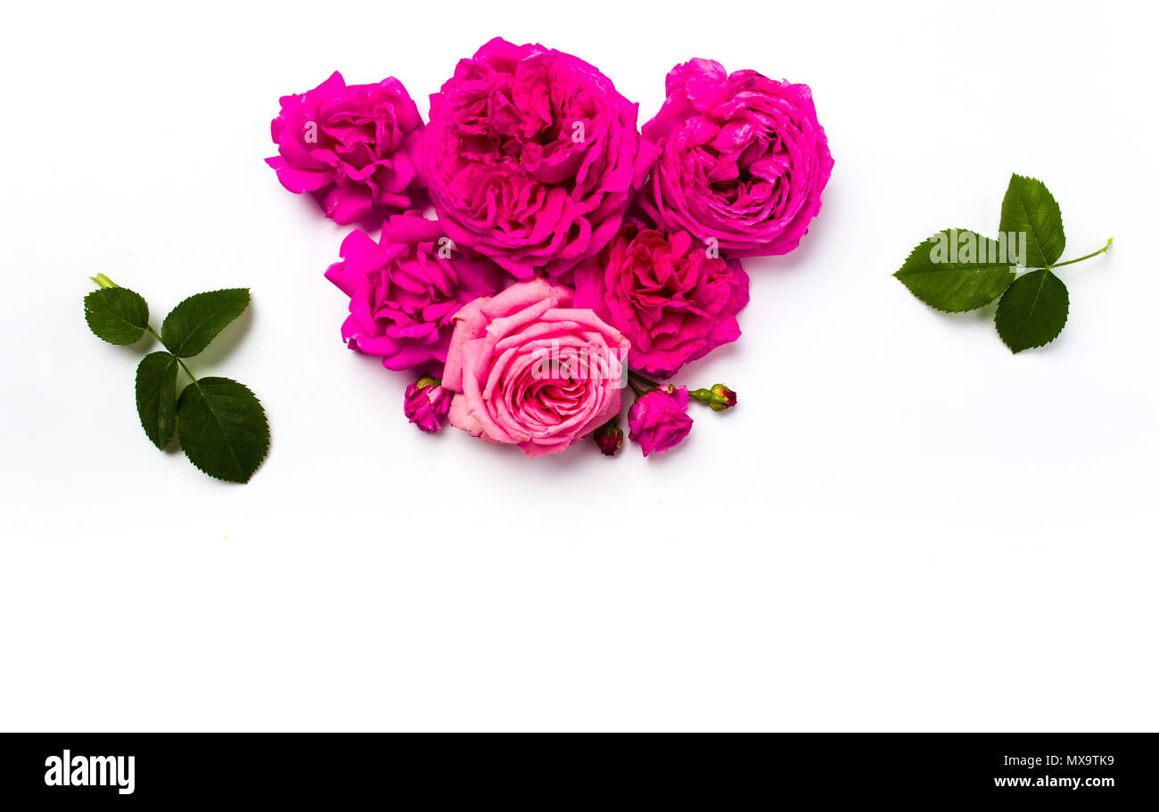 Top view roses border Cut Out Stock Images & Pictures - Alamy