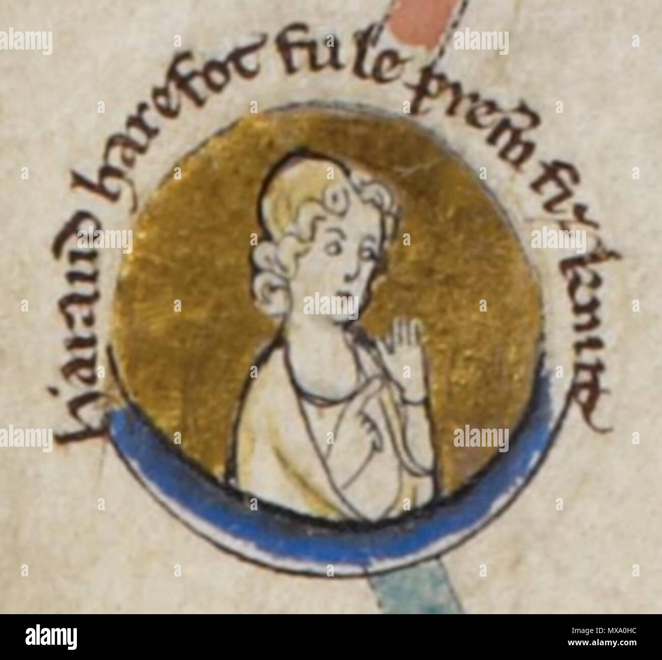 . English: Harold Harefoot as a child Dansk: Harald Harefod . 13th ...