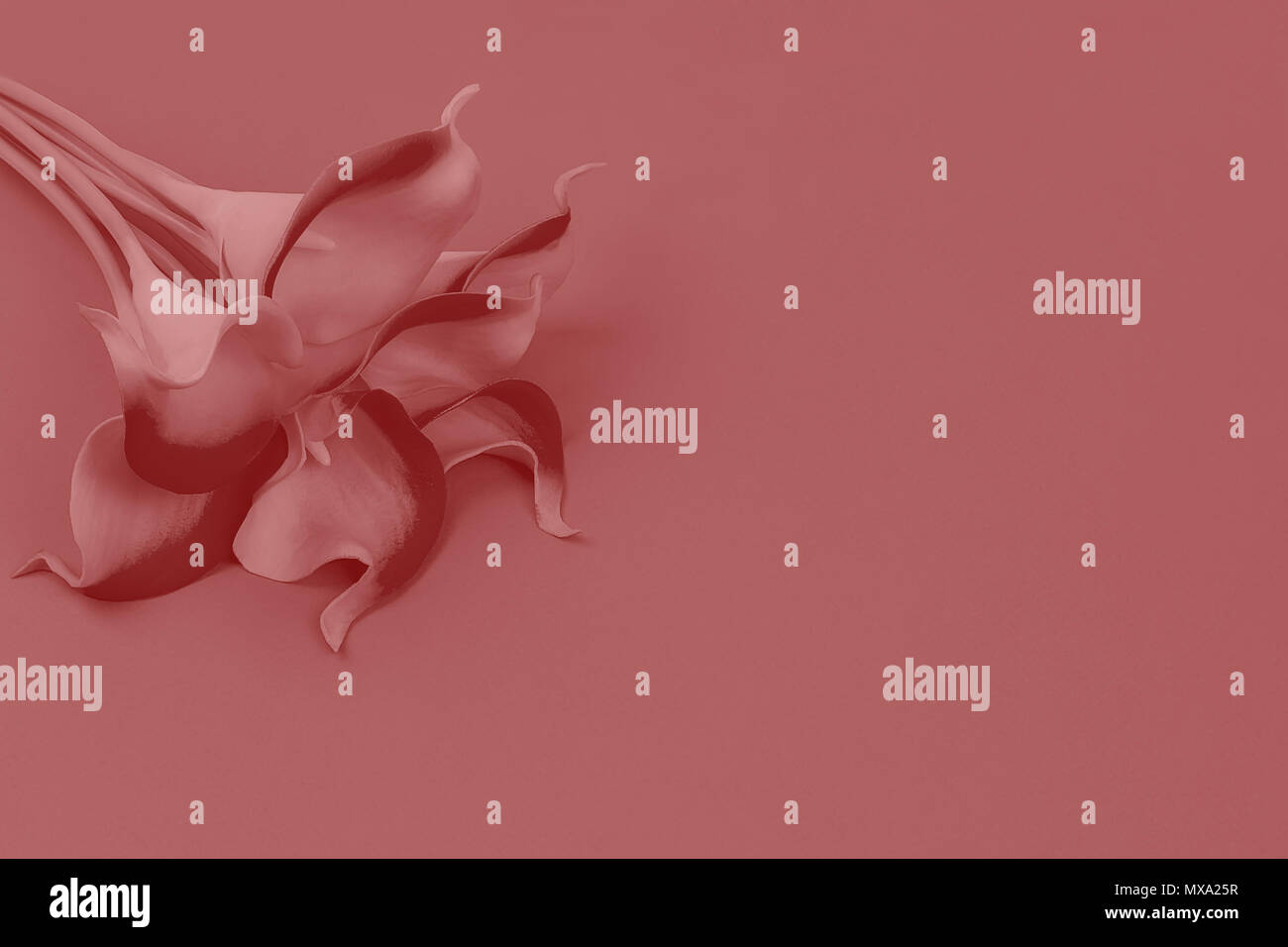 Motif de texture de camouflage hi-res stock photography and images - Alamy