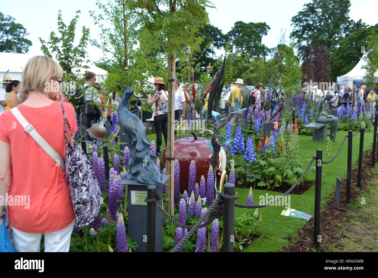 Bloom in the Park flower and garden show, Dublin, ireland 2018 ...