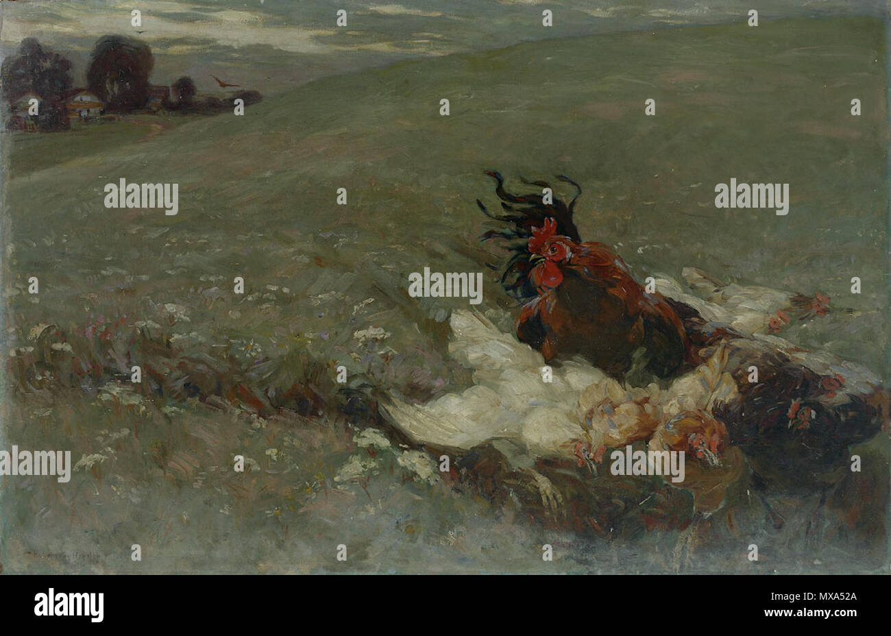 Von hahn hi-res stock photography and images - Alamy