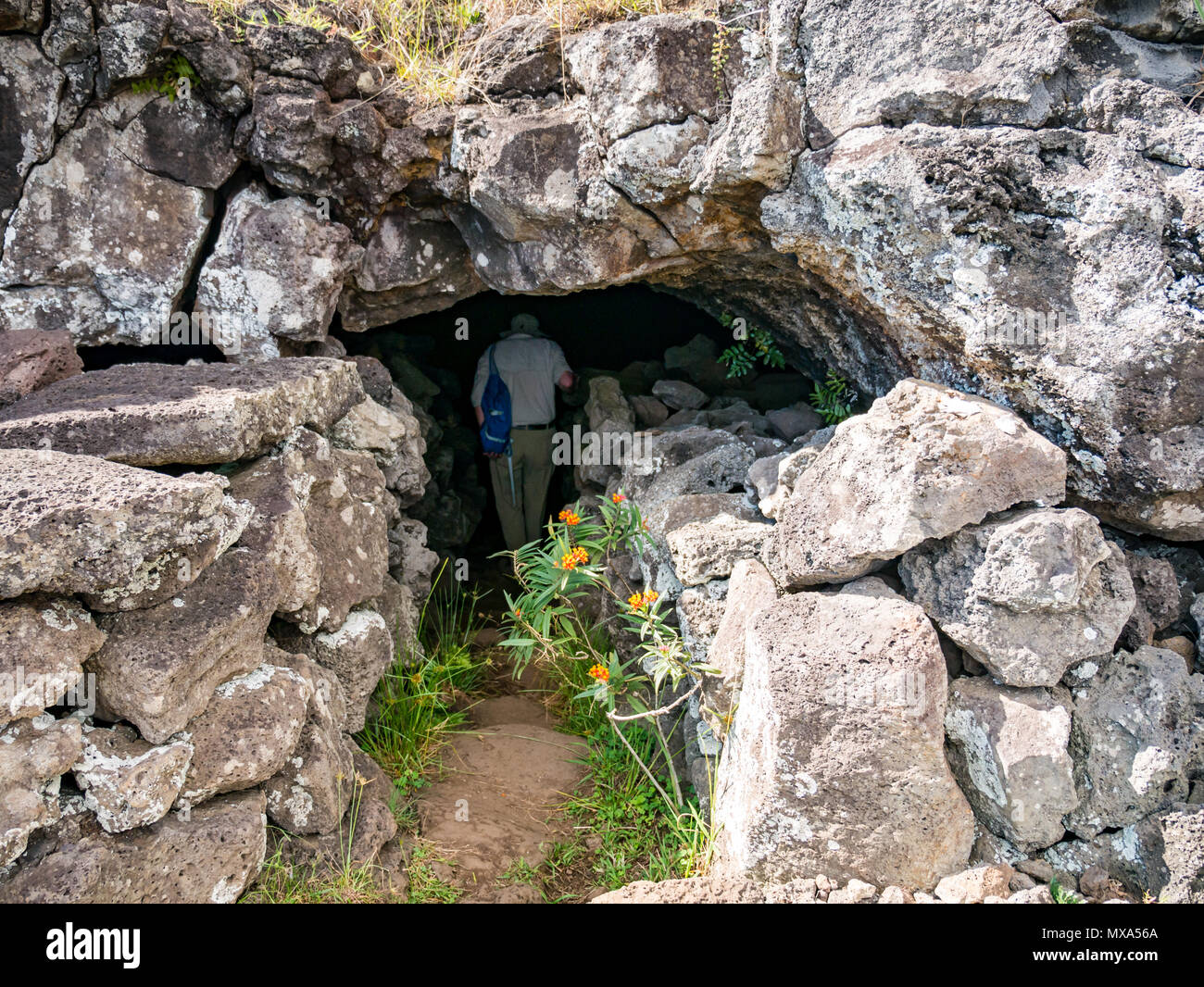 Man entering volcanic lava tube rock cave, Ana Kakenga, Easter Island ...