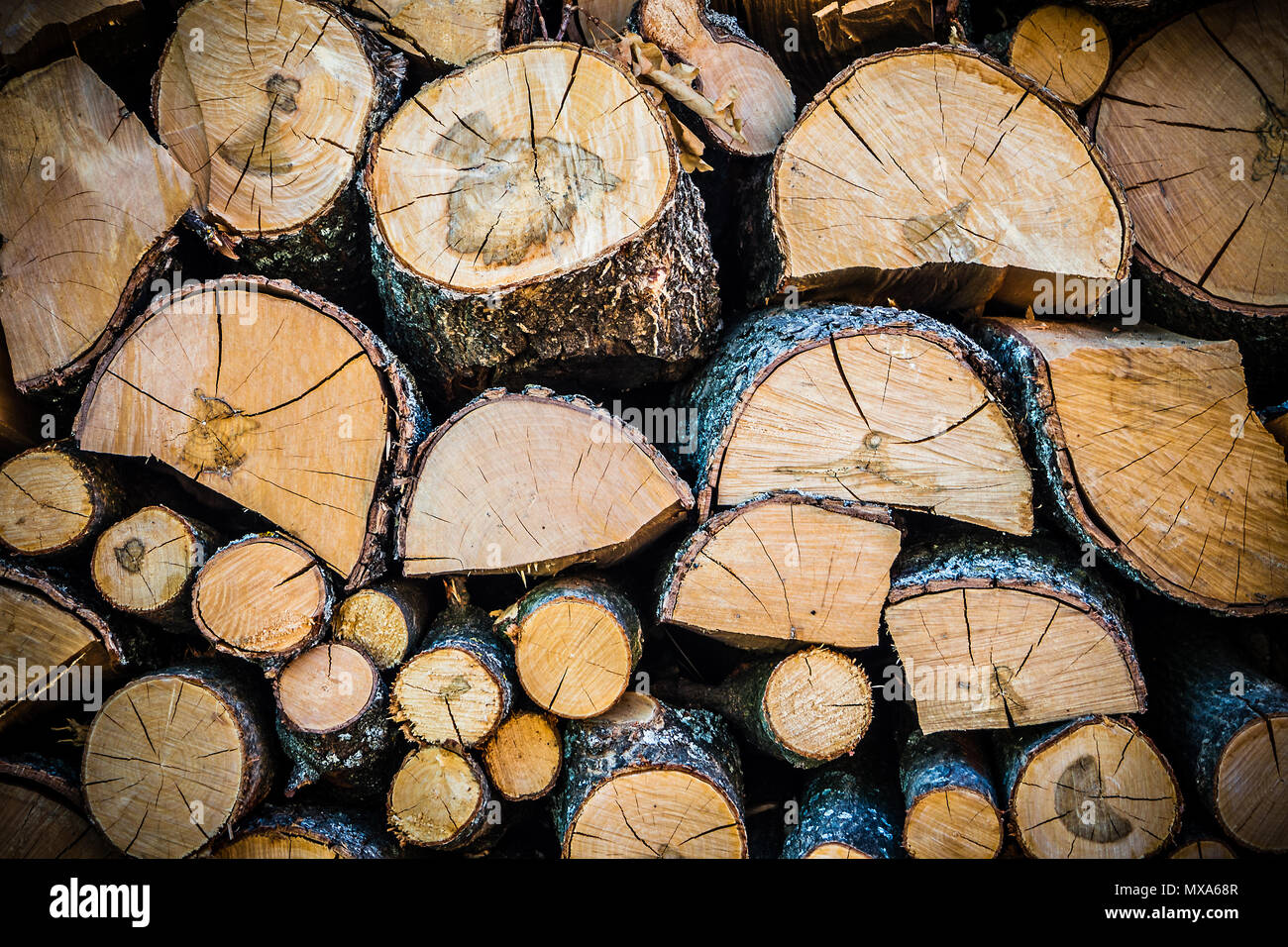 closeup of pile of firewood Stock Photo - Alamy