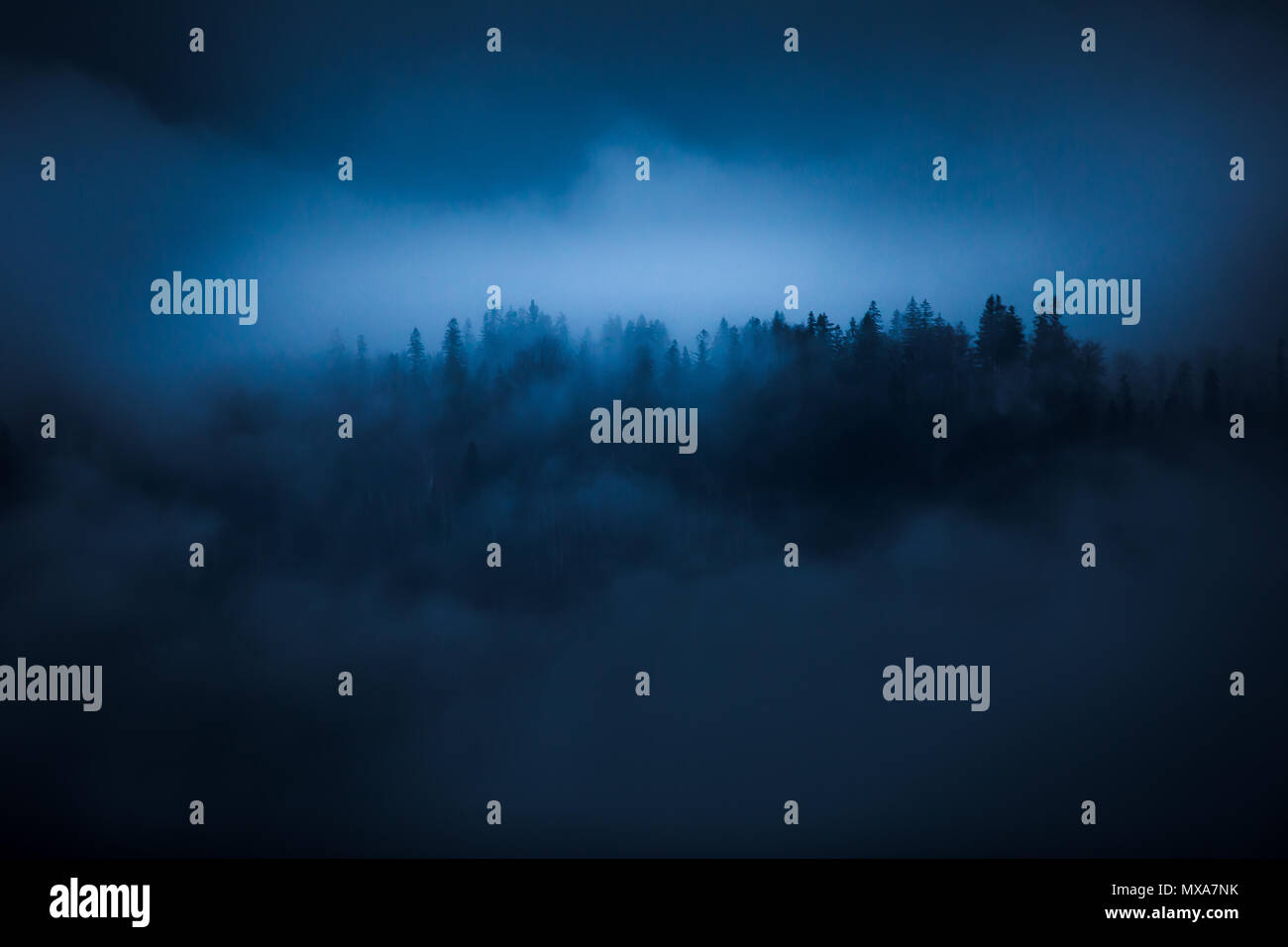 500px hi-res stock photography and images - Alamy