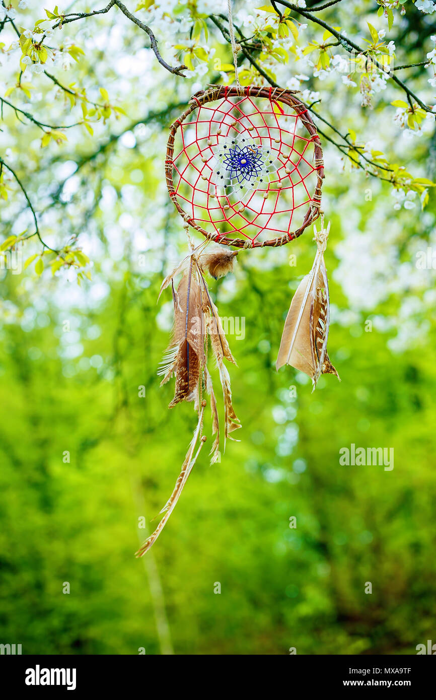 Silhouette sun catcher hi-res stock photography and images - Alamy