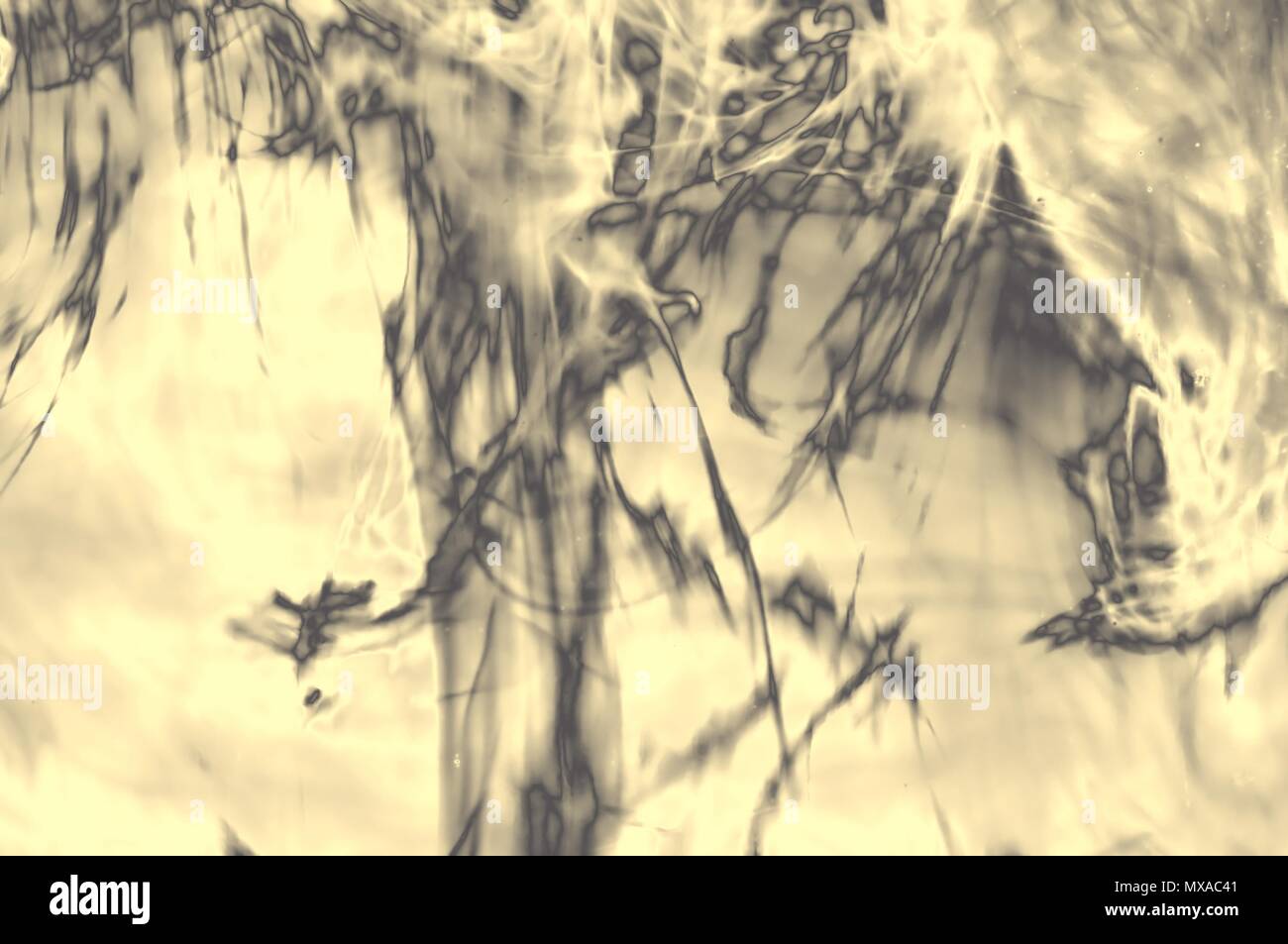 Sepia ink hi-res stock photography and images - Alamy