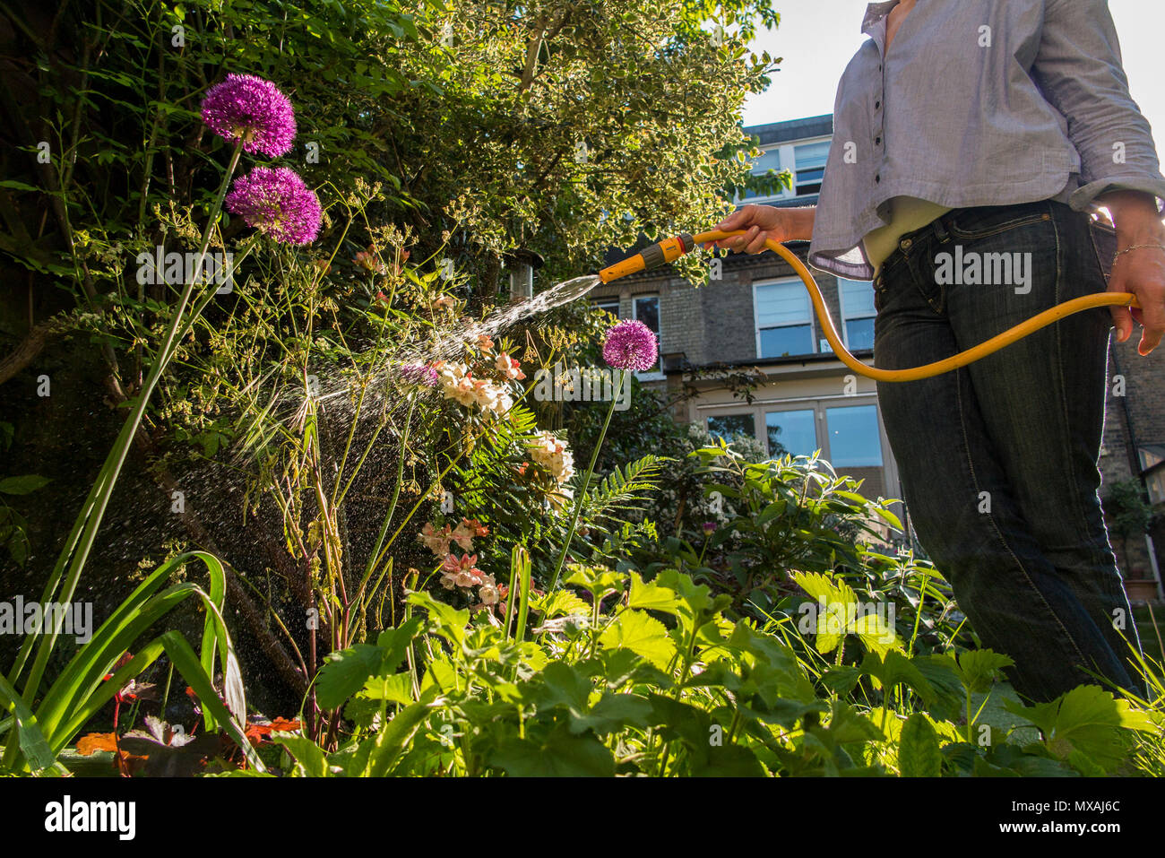 Lady sprays water hi-res stock photography and images - Alamy