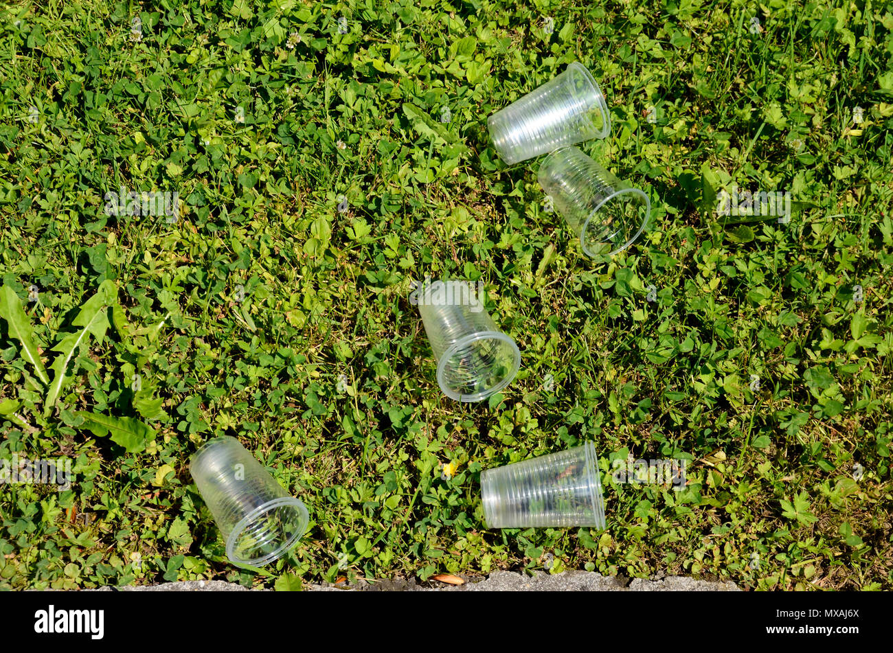 Transparent plastic cups hi-res stock photography and images - Alamy