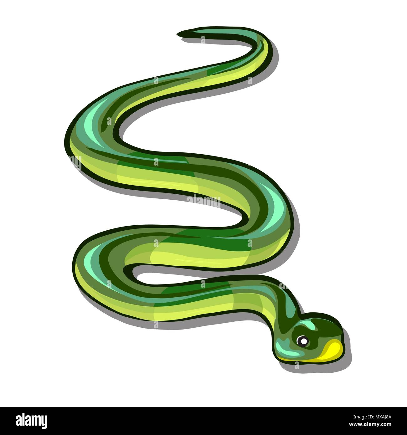 Green snake isolated on white background. Vector cartoon close-up ...