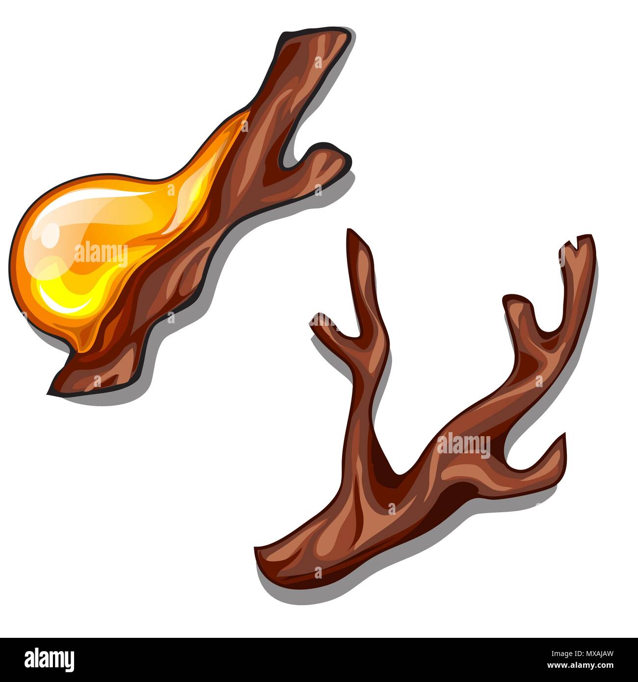 A branch dripping with resin isolated on a white background. Vector ...