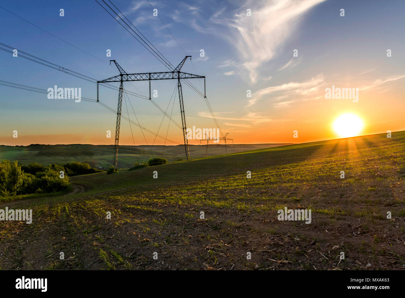 Transmission lines through the forest hi-res stock photography and ...