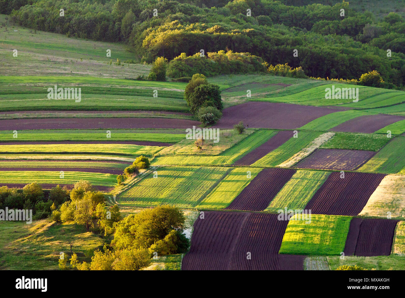 Patched landscape beauty hi-res stock photography and images - Alamy