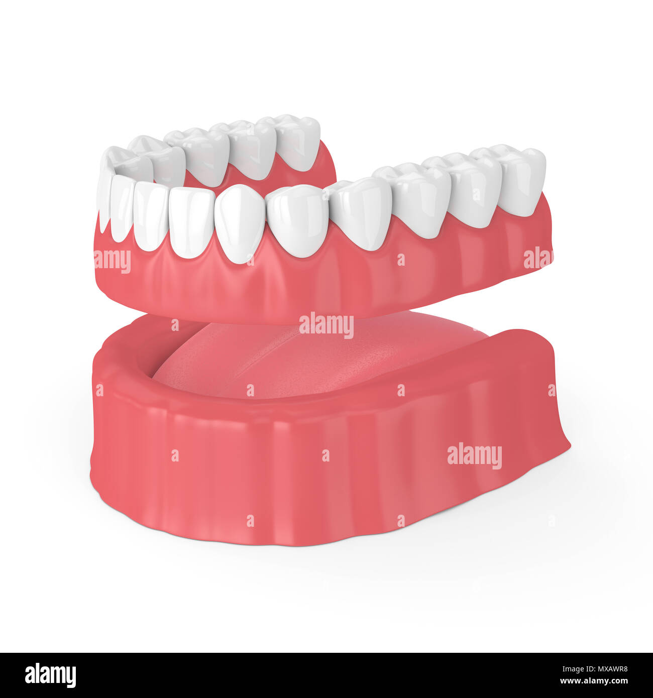 3d render of removable full denture isolated over white background ...