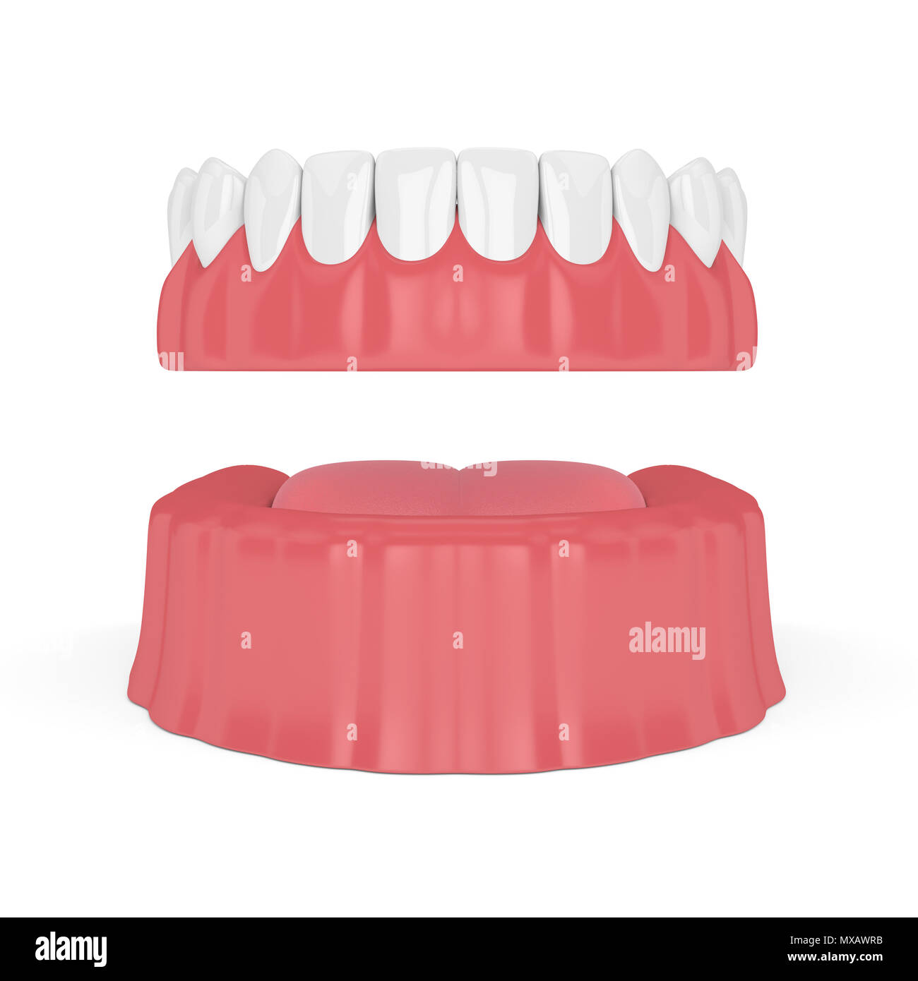 3d render of removable full denture isolated over white background ...