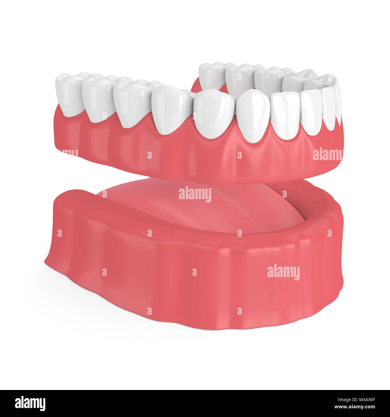 3d render of removable full denture isolated over white background ...