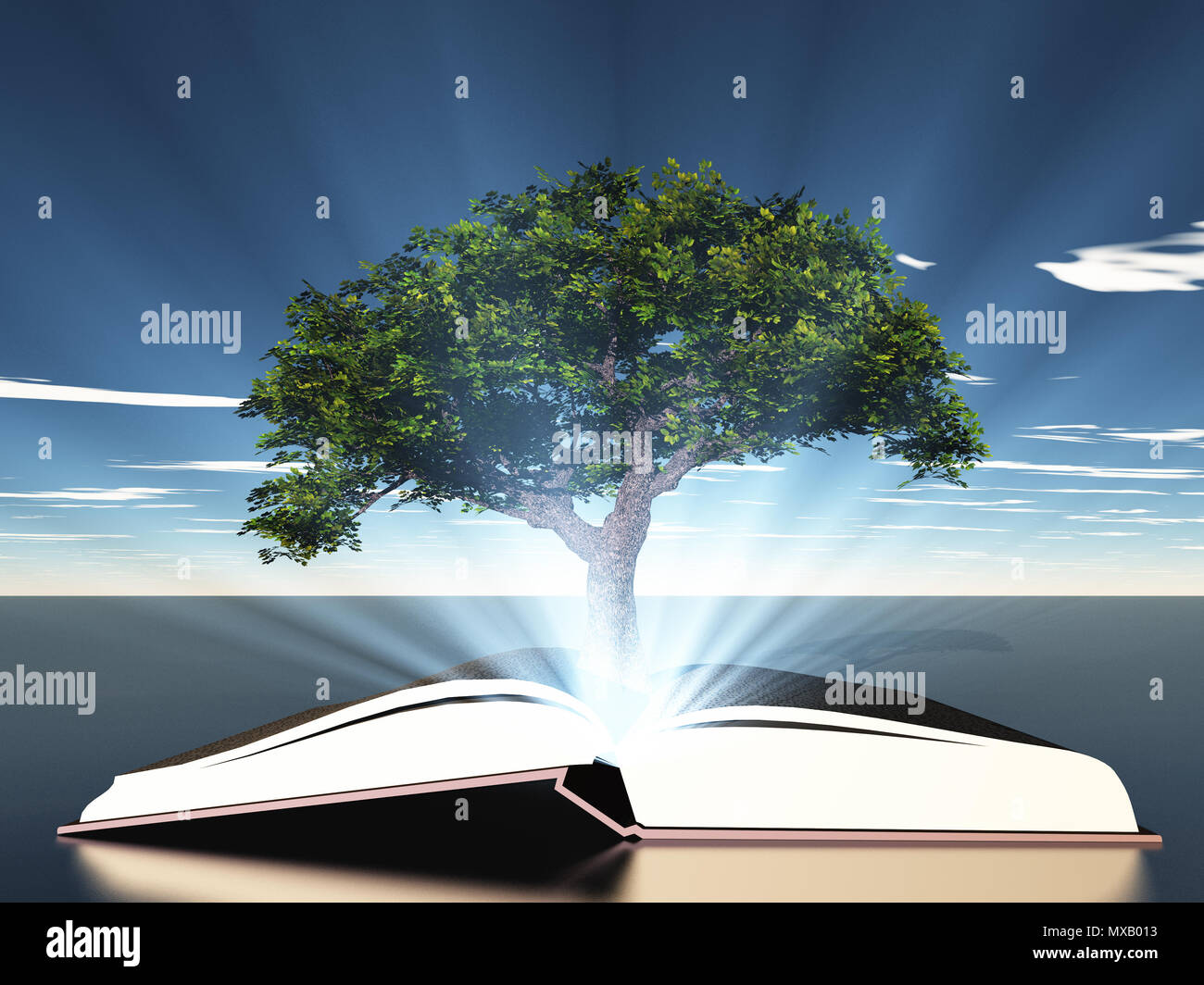 Book with green tree and shining light Stock Photo - Alamy