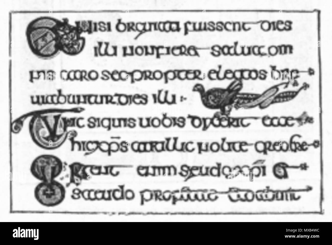 . Irish writing of VIII century . Unknown date. Unknown 300 Irish ...